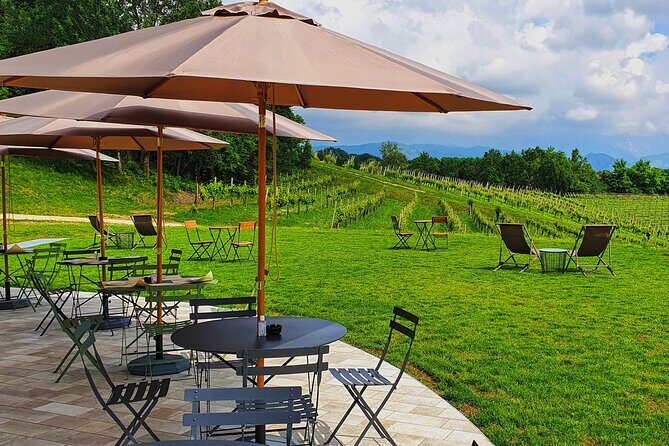 Unconventional Prosecco Tasting with Stunning View on Vineyards - Exploring the Tour in Detail