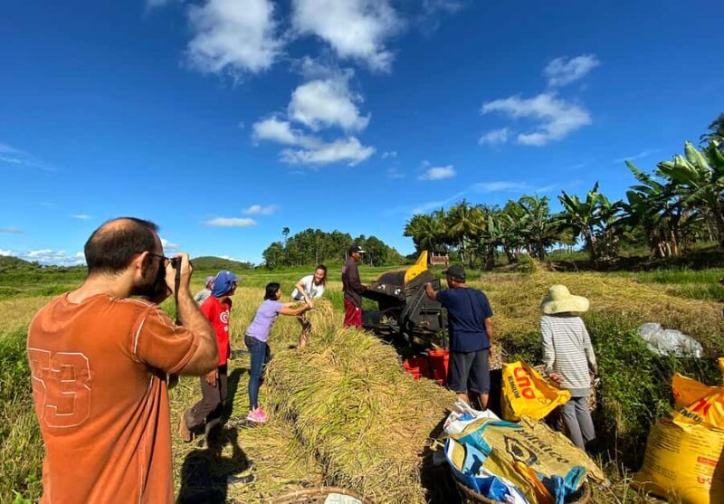 Uncrowded Bohol: Tarsiers, Chocolate Hills & Local Lunch - Key Points