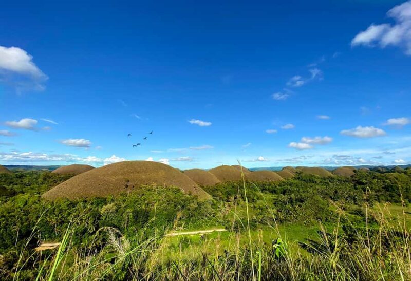 Uncrowded Bohol: Tarsiers, Chocolate Hills & Local Lunch - Waterfalls & Scenic Views