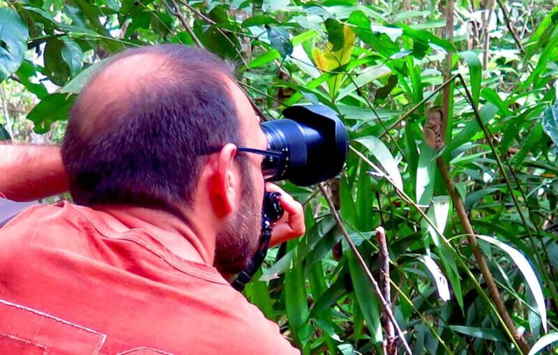 Uncrowded Bohol: Tarsiers, Chocolate Hills & Local Lunch - FAQ