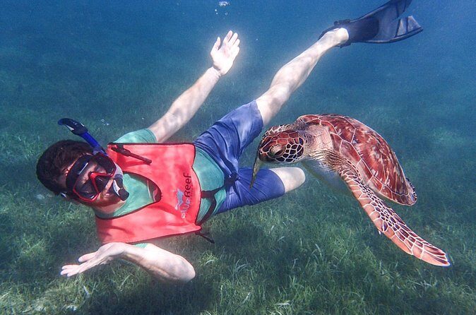 Under the Sea snorkeling(Stingray/Kayak/ Power Snorkel available) - The Sum Up