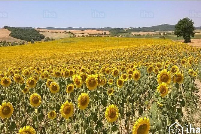 Under the Tuscan Sun Tour from Rome-Cortona & Montepulciano 1 day - The Itinerary in Detail