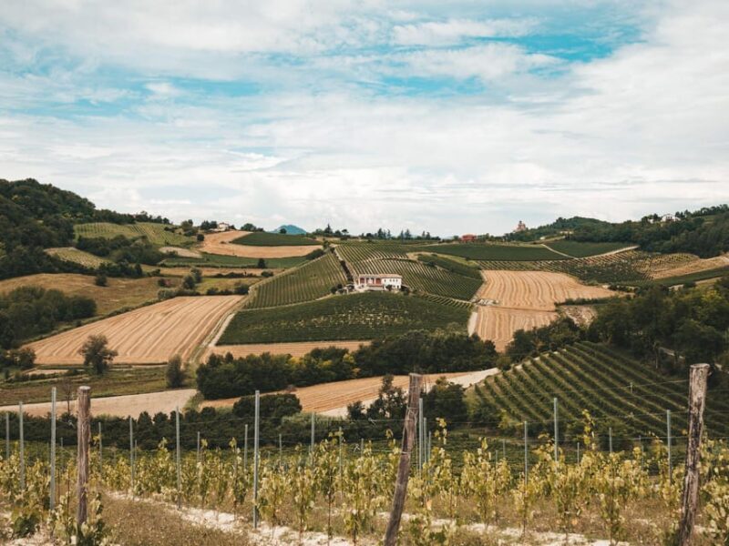 Underground Cave Visit with Food & Wine Tasting near Asti - An In-Depth Look at the Experience