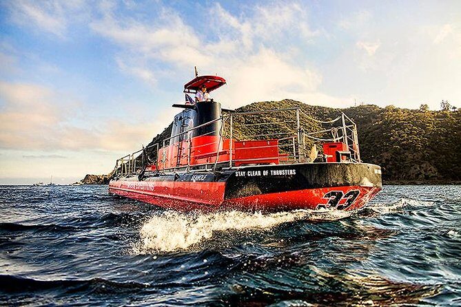 Undersea Expedition: Catalina Island Tour - What to Expect on the Undersea Expedition