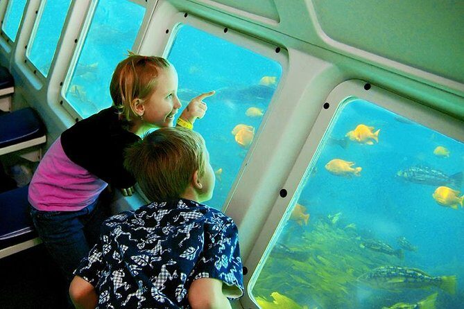 Undersea Expedition: Catalina Island Tour - Authentic Perspectives from Travelers