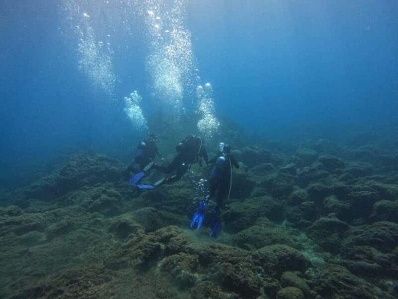 Underwater Archaeological Tour: Acicastello (CT) - What’s Included and What to Bring
