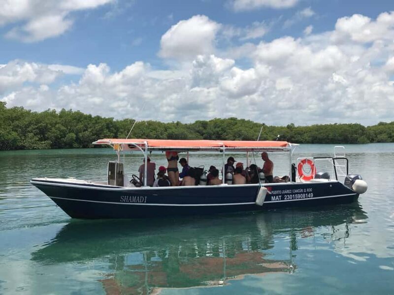 Underwater Museum Musa : SCUBA DIVING FOR BEGINNERS - Price vs. Value