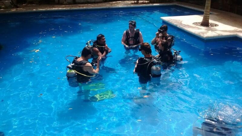 Underwater Museum Musa : SCUBA DIVING FOR BEGINNERS - Who Should Consider This Tour?