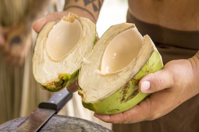 Underwater Observatory & Coconut Experience - Key Points