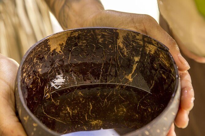 Underwater Observatory & Coconut Experience - Final Thoughts