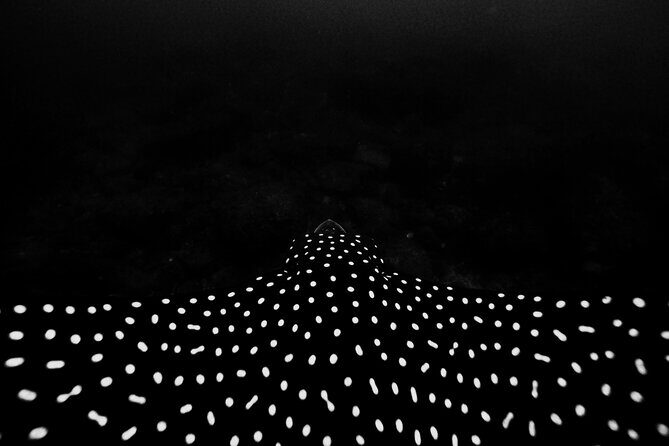 Underwater Photo Shoot - Introduction to the Underwater Photo Shoot Experience