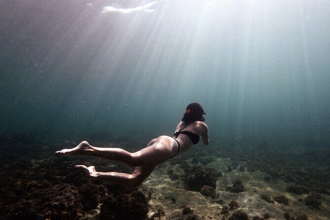 Underwater Photo Shoot - Who Should Consider This Tour?