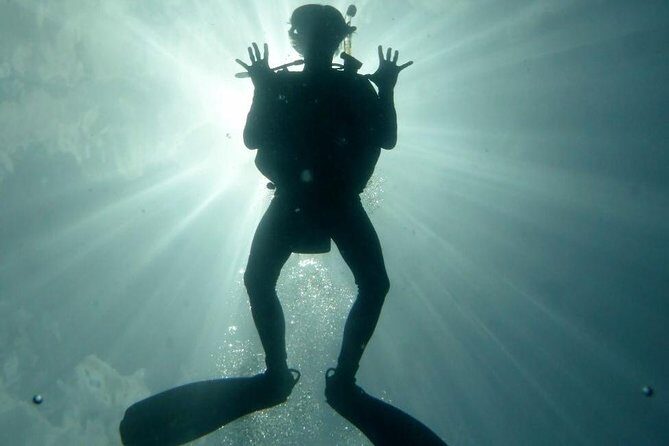 Underwater Scooter Dive (Certified Divers Only) Makena Wailea - Who Should Consider This Tour?