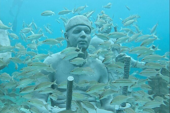 Underwater Sculpture Park Snorkel Adventure - Key Points