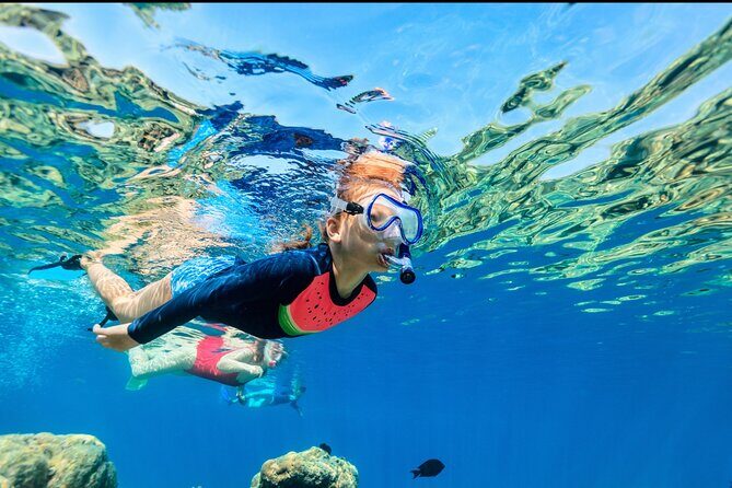 Underwater Sculpture Park Snorkel Adventure - Final Thoughts