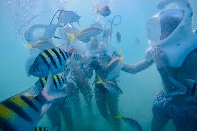 Underwater Sea Trek in San Juan: Explore Beneath the Waves - The Sum Up: Who Should Consider This Tour?