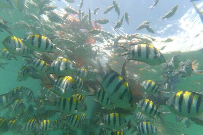 Underwater Wonders of South Gili - A Detailed Look at the Tour Experience