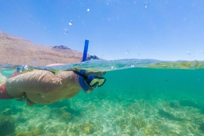 Underwater Wonders Snorkeling Adventure - The Sum Up