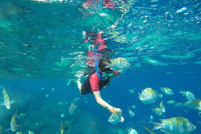 Underwater Wonders Snorkeling Adventure - FAQs