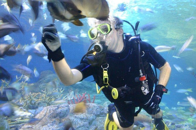 Underwater World at Pattaya Admission Ticket - A Deep Dive into the Underwater World Experience