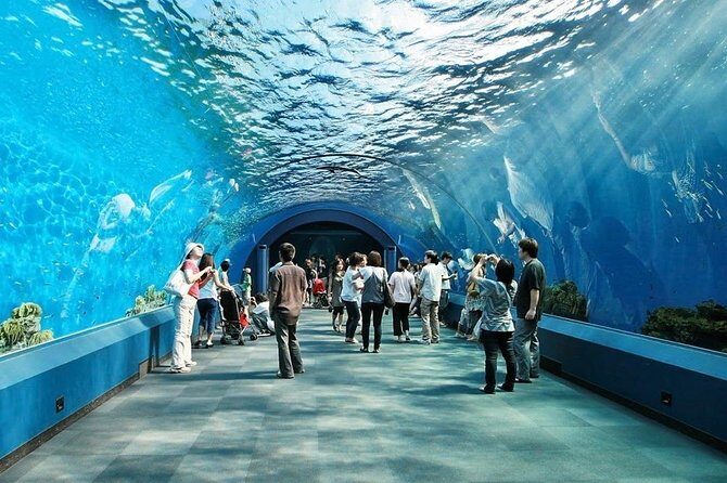 Underwater World at Pattaya Admission Ticket - Final Thoughts: Is It Worth It?