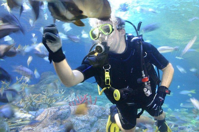Underwater World at Pattaya Admission Ticket with Return Transfer - Frequently Asked Questions