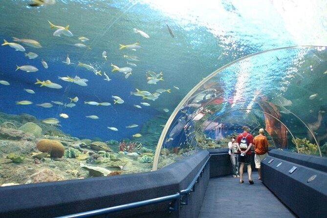 Underwater World in Pattaya Admission Ticket - A Practical Look at the Underwater World: What to Expect
