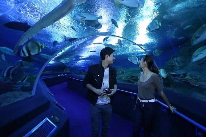 Underwater World in Pattaya Admission Ticket - Final Thoughts: Is It Worth It?