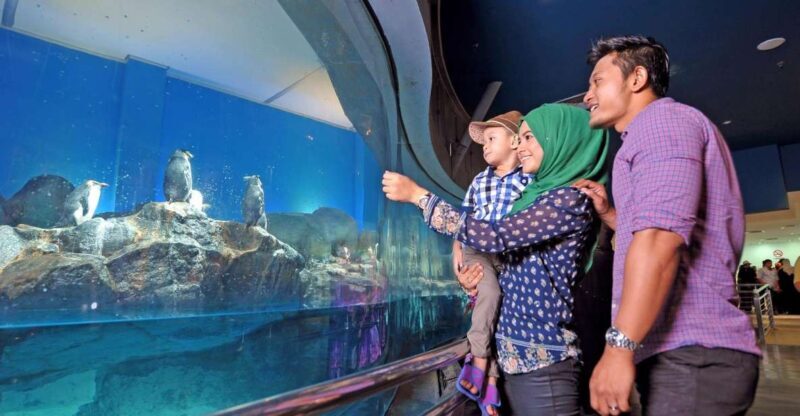 Underwater World Langkawi Admission Ticket - A Closer Look at What to Expect