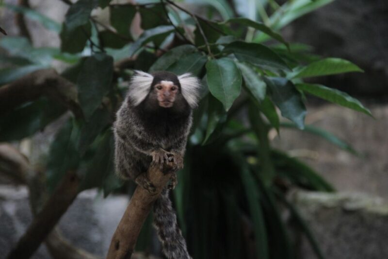 Underwater World Langkawi Admission Ticket - Who Will Love Underwater World Langkawi?