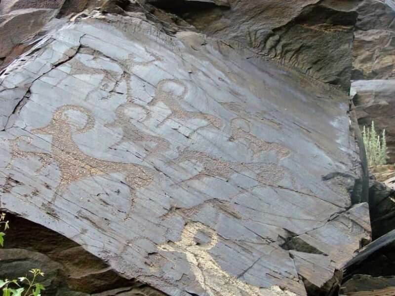 Undiscovered Uzbekistan - Hayat Village Tour from Samarkand - An In-Depth Look at the Tour Experience