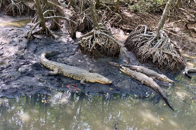 UNESCO Listed Can Gio Mangrove and Monkey Island trek - FAQ