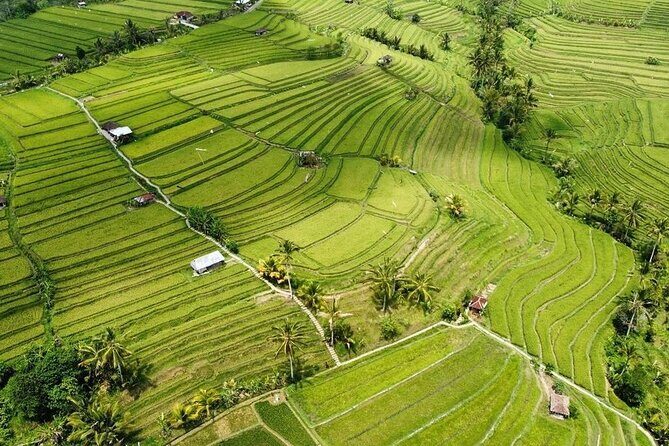 UNESCO Rice Terrace Jatiluwih with Tanah Lot Sunset Tour - Key Points