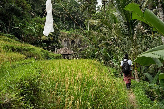UNESCO Sites Cultural Walking Tour in Bali - Key Points