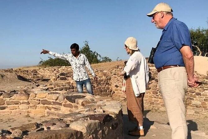 UNESCO World Heritage Site of Patan & Dholavira Tour - Key Points