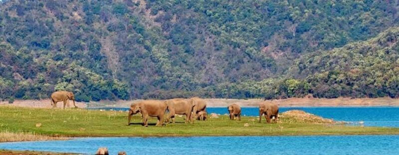 Unforgettable 2-Day Double Safari in Jim Corbett Park - Key Points