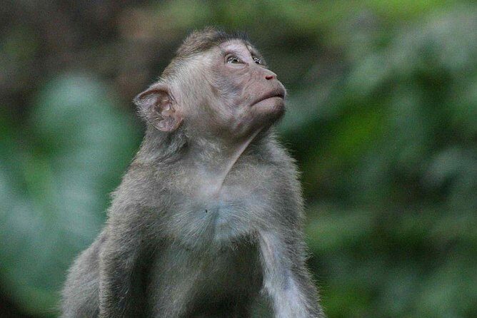 Unforgettable 5 Days Bali - Penida Island (Nusa Penida), Indonesia Tour - FAQ