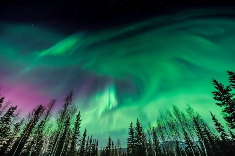 Unforgettable and Fabulous Northern Lights in Reykjavík - Key Points