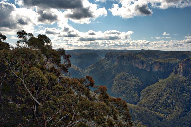 Unforgettable Blue Mountains Day Tour - The Practicalities: What to Expect and Tips for Travelers