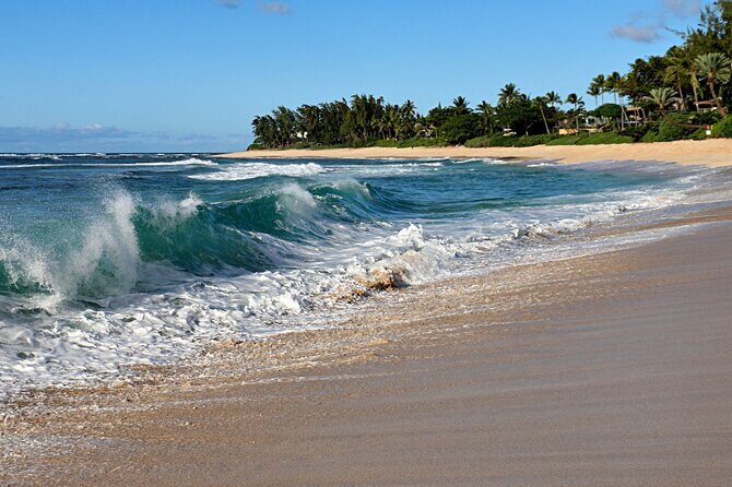 Unforgettable Day on Oahu | Small Group Circle Island Tour - The Sum Up: Who Is This Tour For?