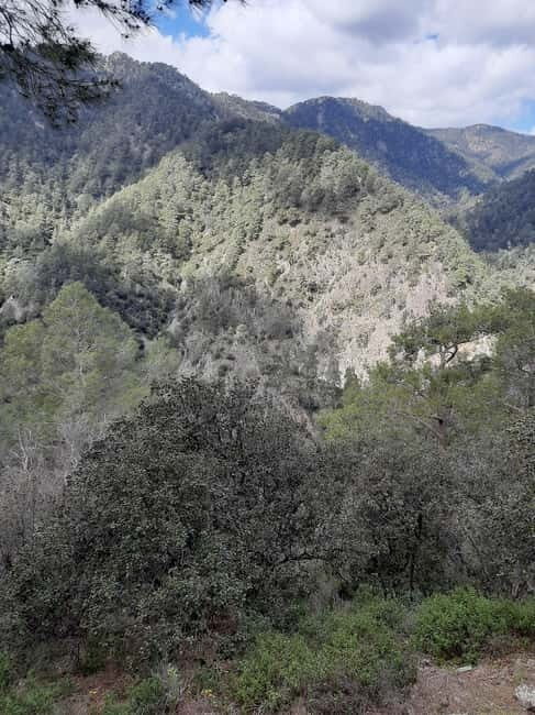 Unforgettable day on safari from Paphos to the Troodos mountains - An In-Depth Look at the Troodos Safari