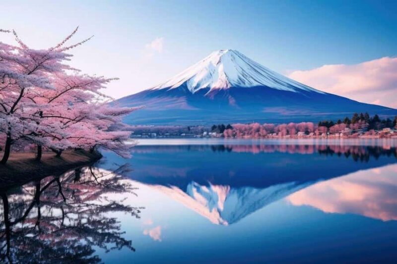 Unforgettable Full-Day Tour to Mount Fuji - Who Will Love This Tour?