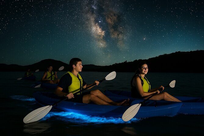 Unforgettable One Day Bioluminescent Kayak Adventure in Vieques - Key Points