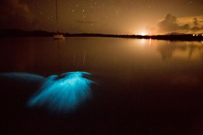 Unforgettable One Day Bioluminescent Kayak Adventure in Vieques - The Experience in Detail