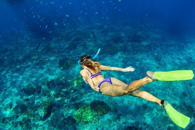 Unforgettable Snorkel Adventure in Cancun whit Transpotations - An In-Depth Look at This Cancun Snorkel Tour