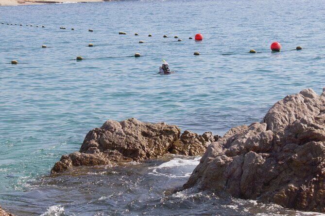 unforgettable snorkeling activity in The Sea of Cortes - A Closer Look at the Tour Experience