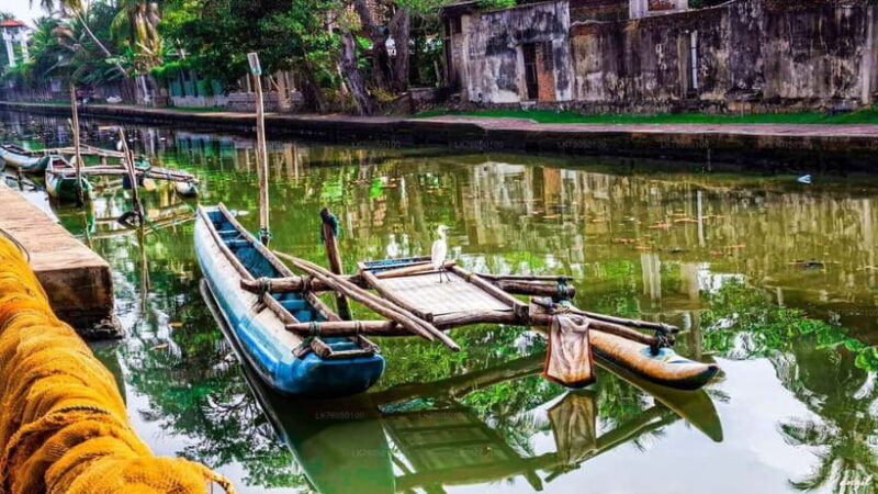 "Unforgettable Sri Lanka: 8-Day Cultural & Scenic Tour" - A Closer Look at the Itinerary