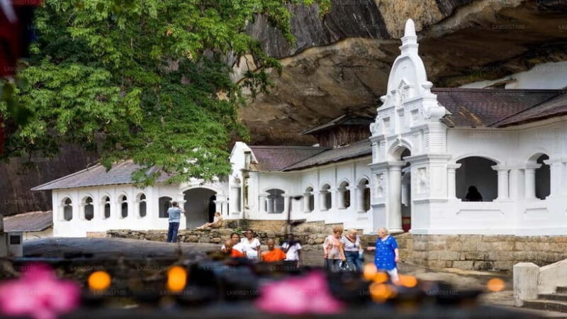 "Unforgettable Sri Lanka: 8-Day Cultural & Scenic Tour" - Final Thoughts