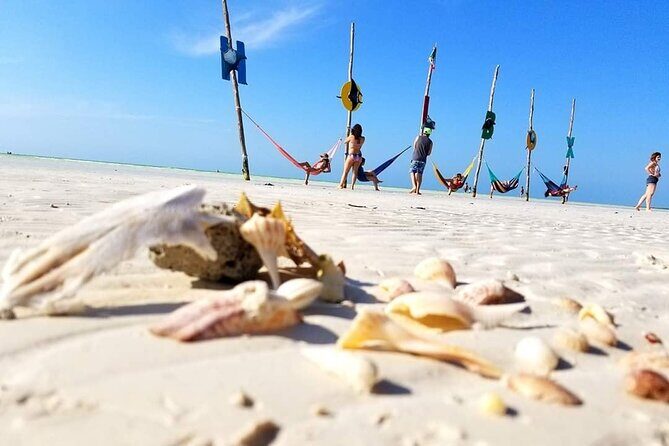 Unforgettable Tour Holbox 2 Islands & Cenote Yalahau from Cancún - What Makes This Tour Stand Out