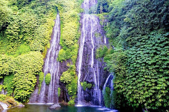 Unforgettable Tour Lovina See Dolphin And Banyumala Waterfall - A Deep Dive into the Itinerary